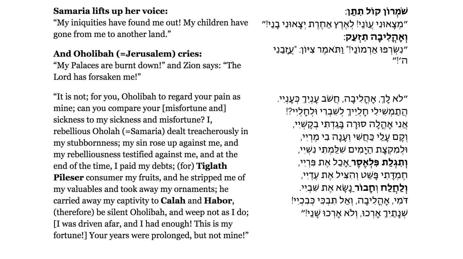 Wine and Prophecy: The Rebirth of Shomron part 1 of 4 - themuseumguy